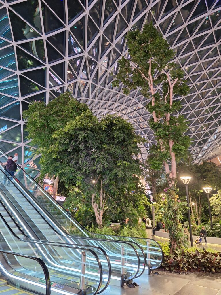 Bila sam na najboljem aerodromu na svetu i ovako nešto nikad nisam ...