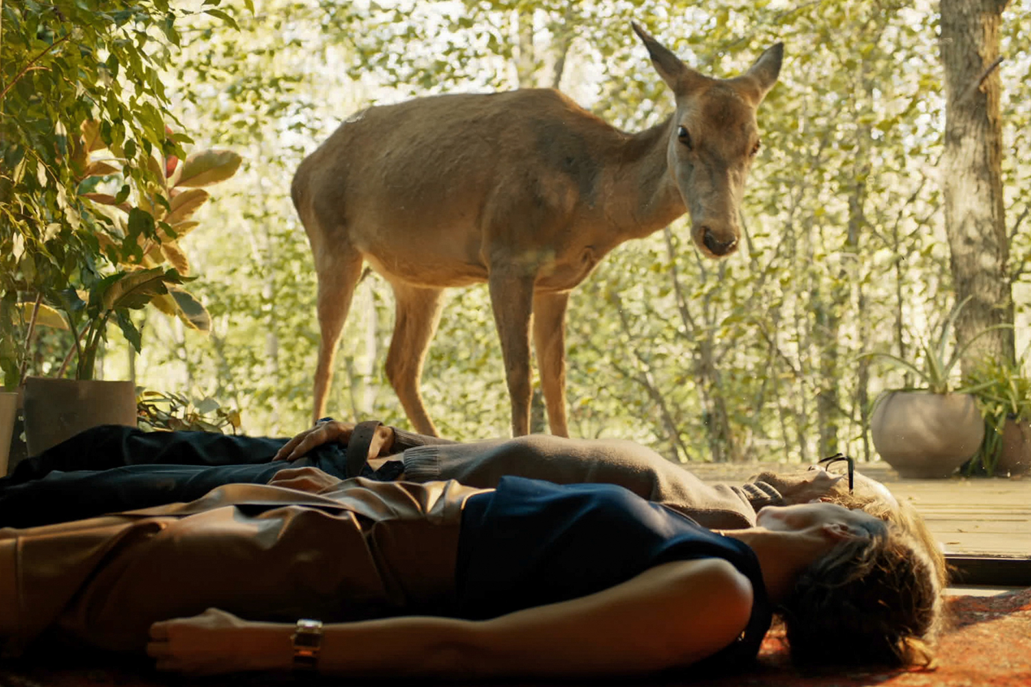 Da li dovoljno volite Jorgosa Lantimosa i Rubena Ostlunda: Kritika ...