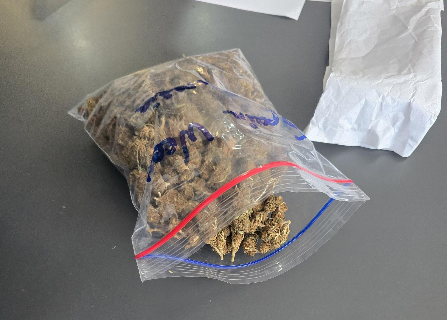 Poštom slali narkotike iz Francuske i Holandije: U jednom pismu semenke ...