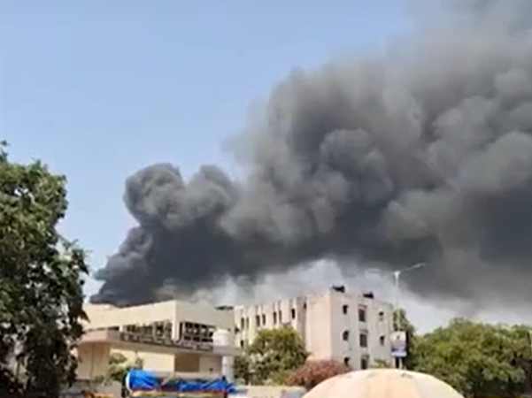 Prvi snimci sa mesta pada aviona u Indiji