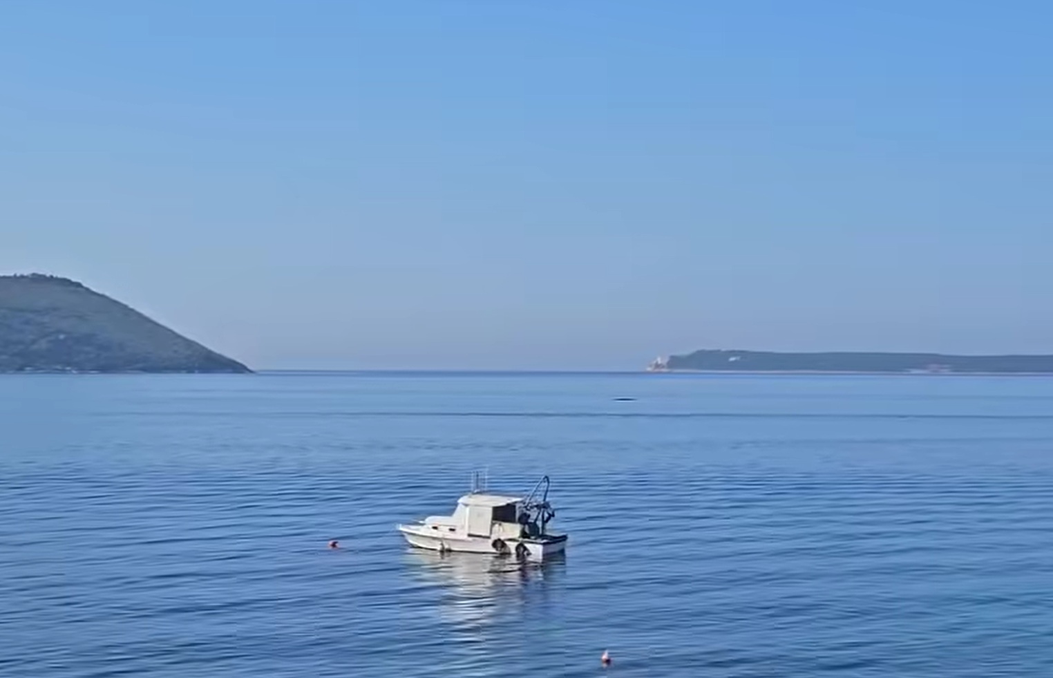 Snimljen kit u Crnoj Gori i odmah je izdato upozorenje: Pre tri dana bela ajkula, a danas kit ...