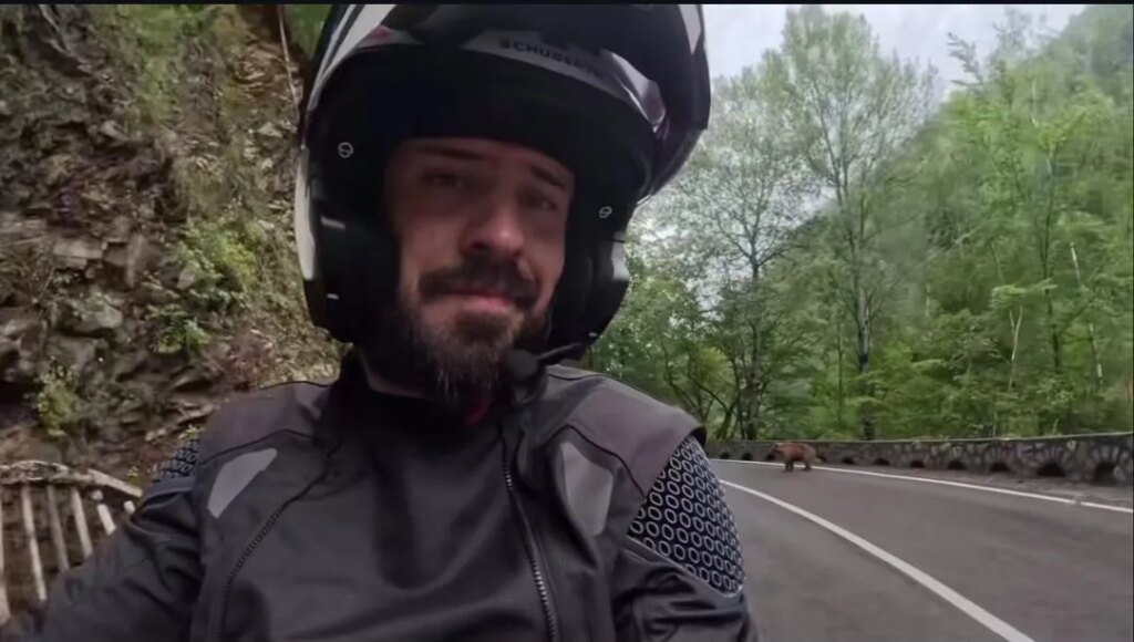 Medved iskočio na put ispred pevača Marka Rokvića